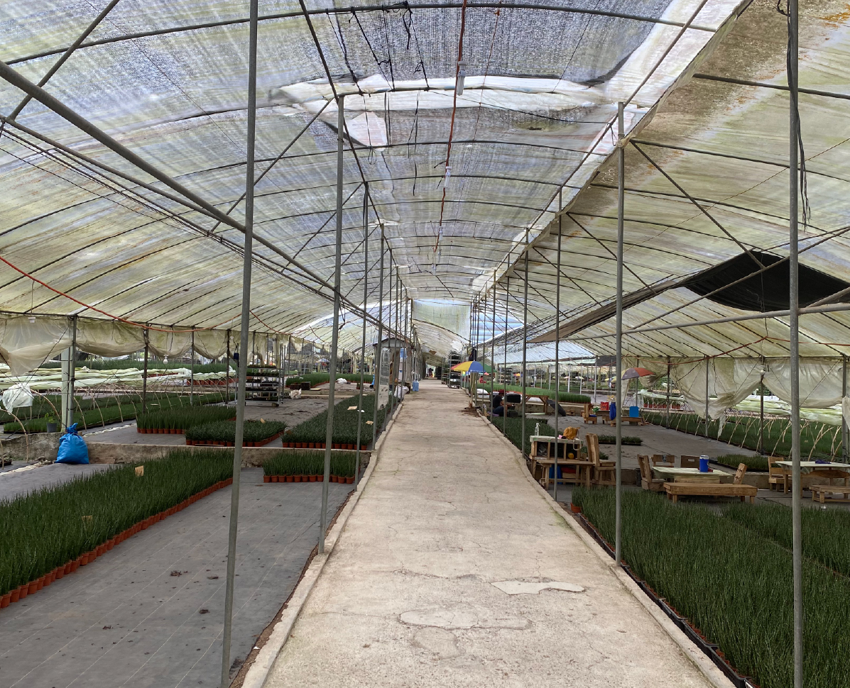 Batangas Farm - Uni Green Inc