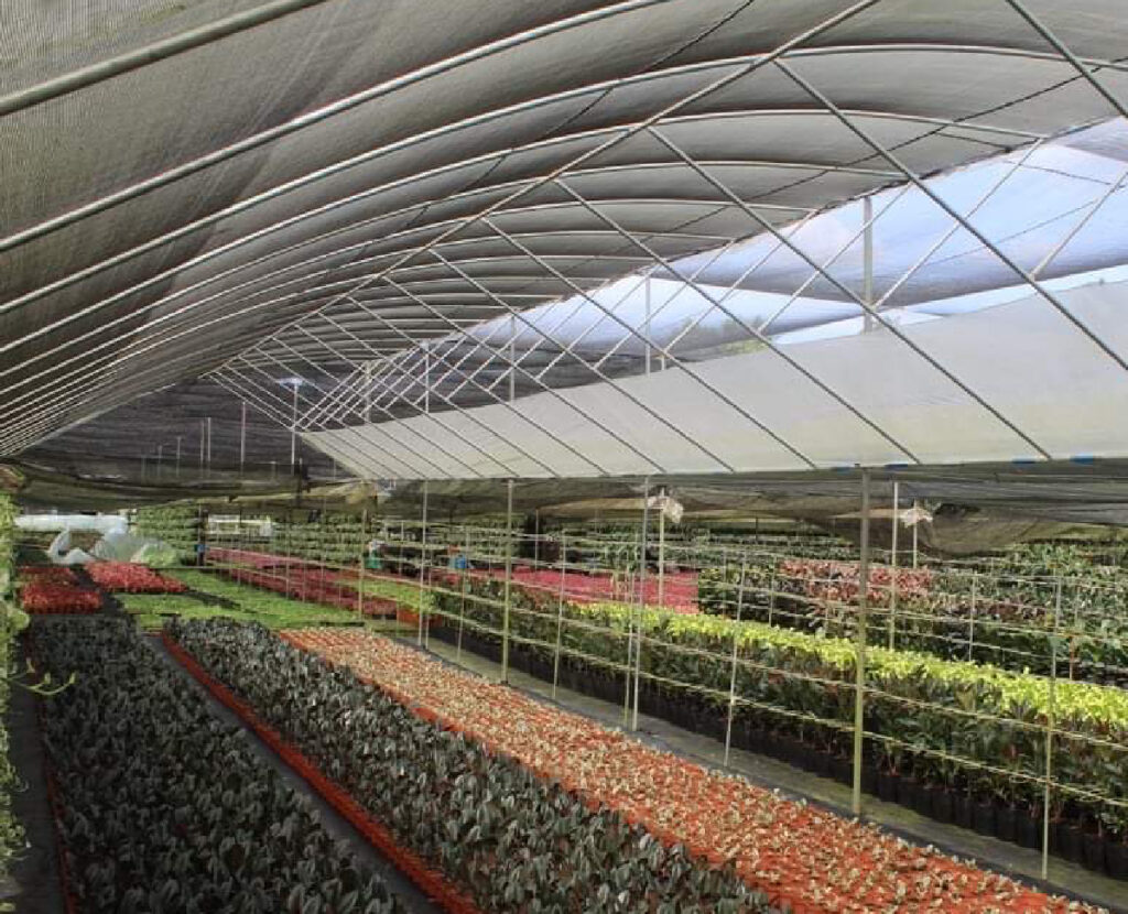 Batangas Farm - Uni Green Inc