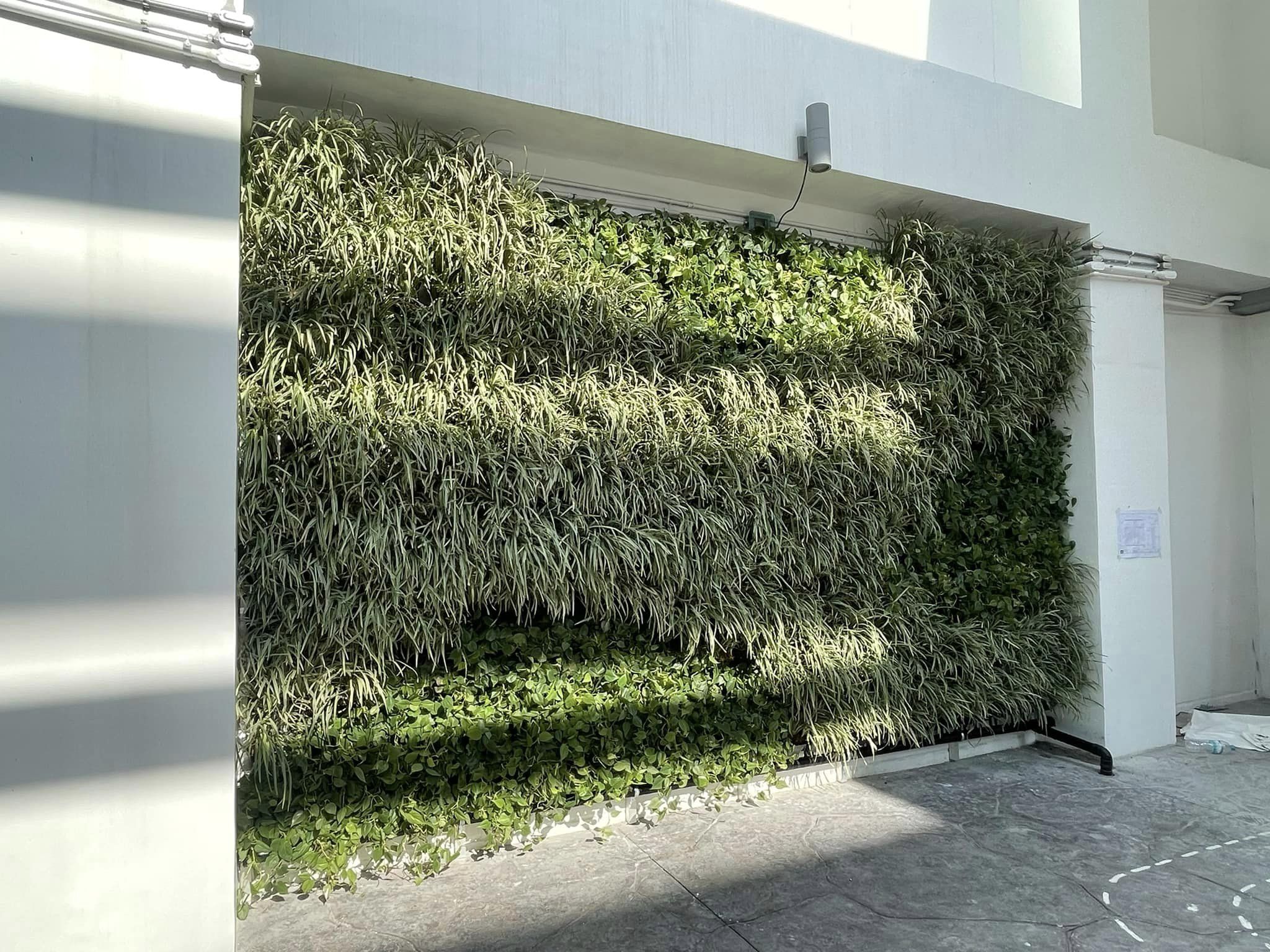 GREEN WALL - Uni Green Inc